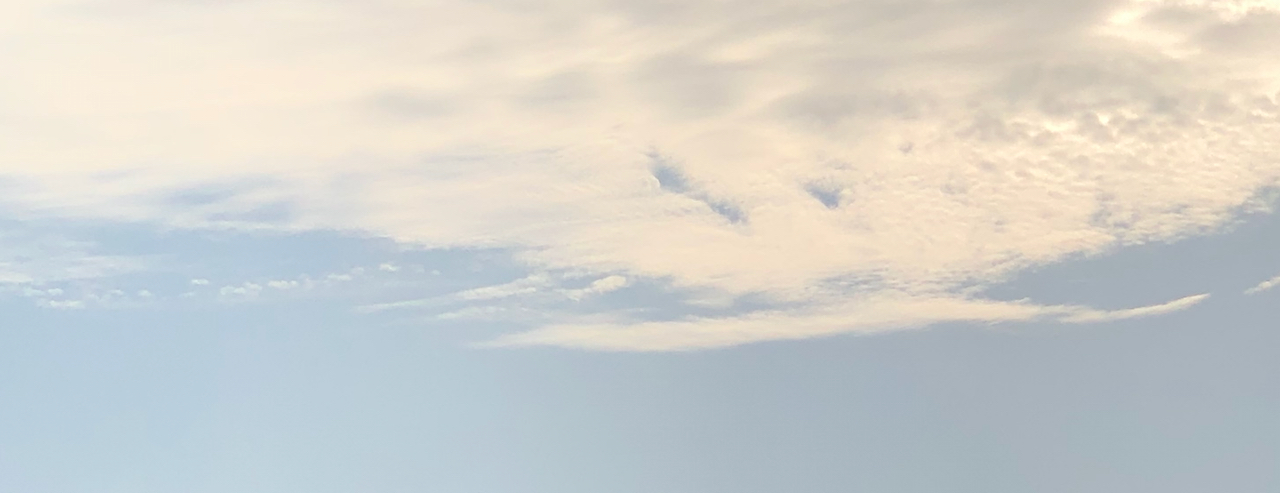 Contact | Jonathan Fish