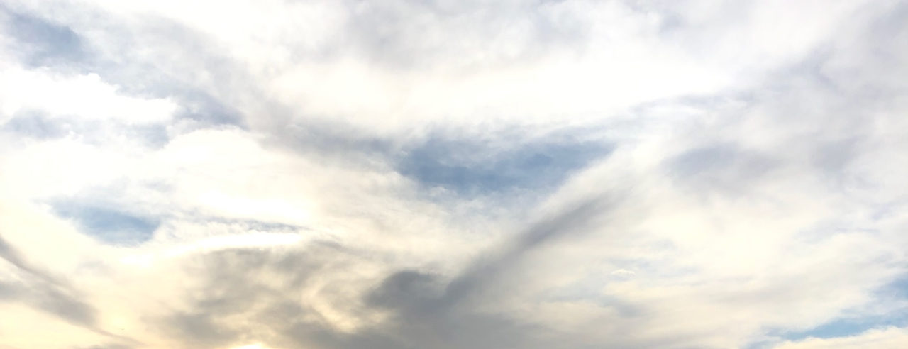 Contact | Jonathan Fish